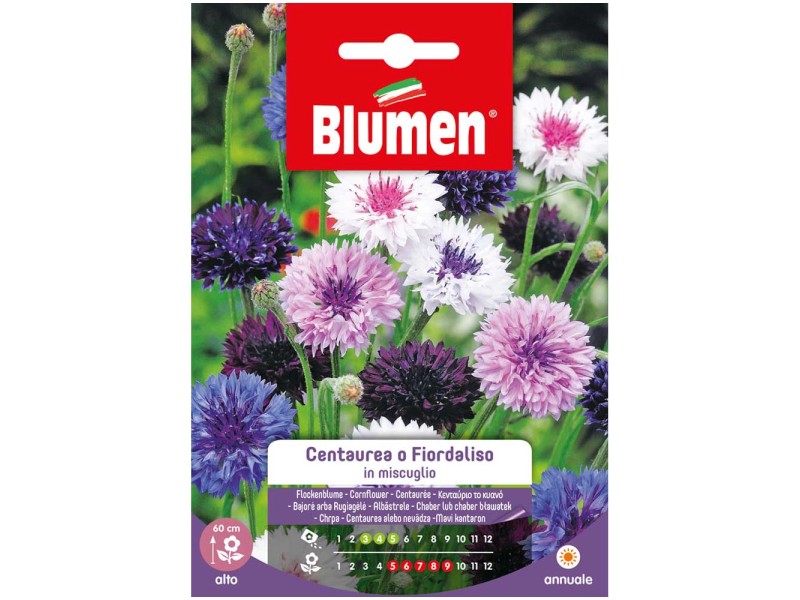 Blumen Mix Kornblume Centaurea cyanus doppelte Blüten kaufen bei OBI