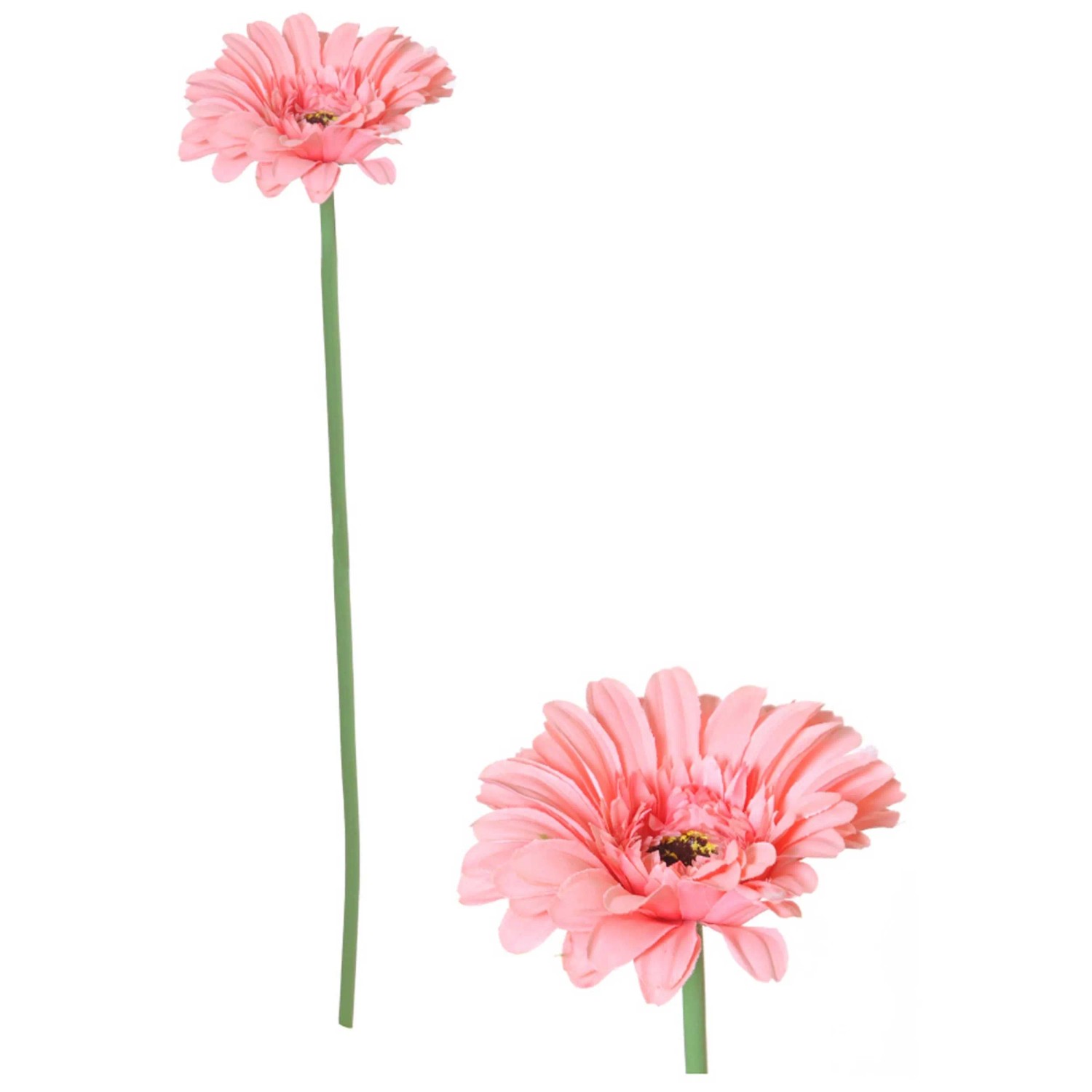 DecoFinder Stelo di gerbera Rosa altezza 55 cm