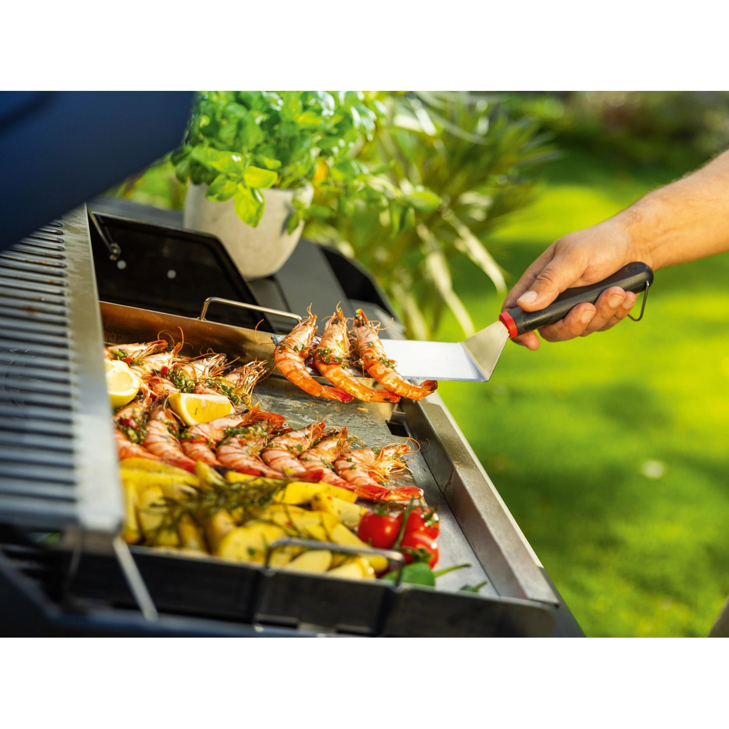 Jamestown Piastra grill plancha acciaio inossidabile