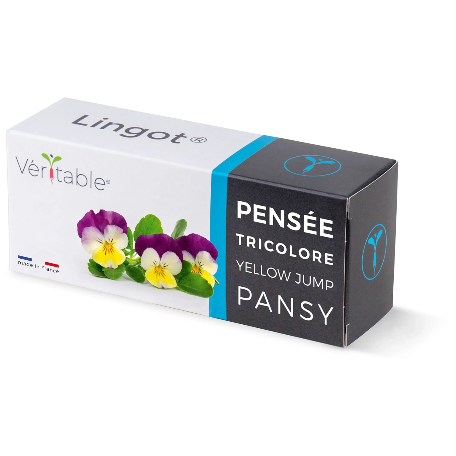 Véritable Lingot Samen Bio Stiefmütterchen kaufen bei OBI