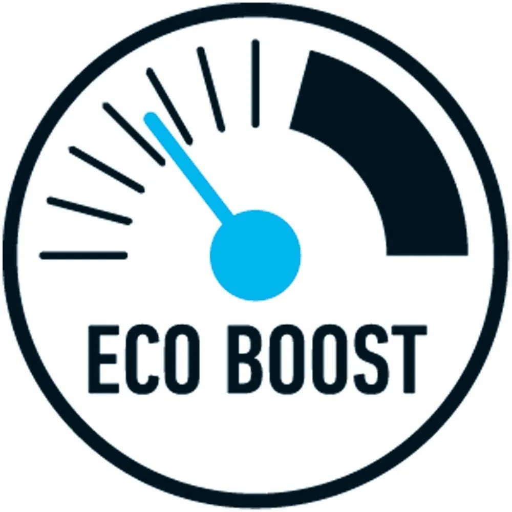 Diaqua® Duschbrause Eco Uno verchromt kaufen bei OBI