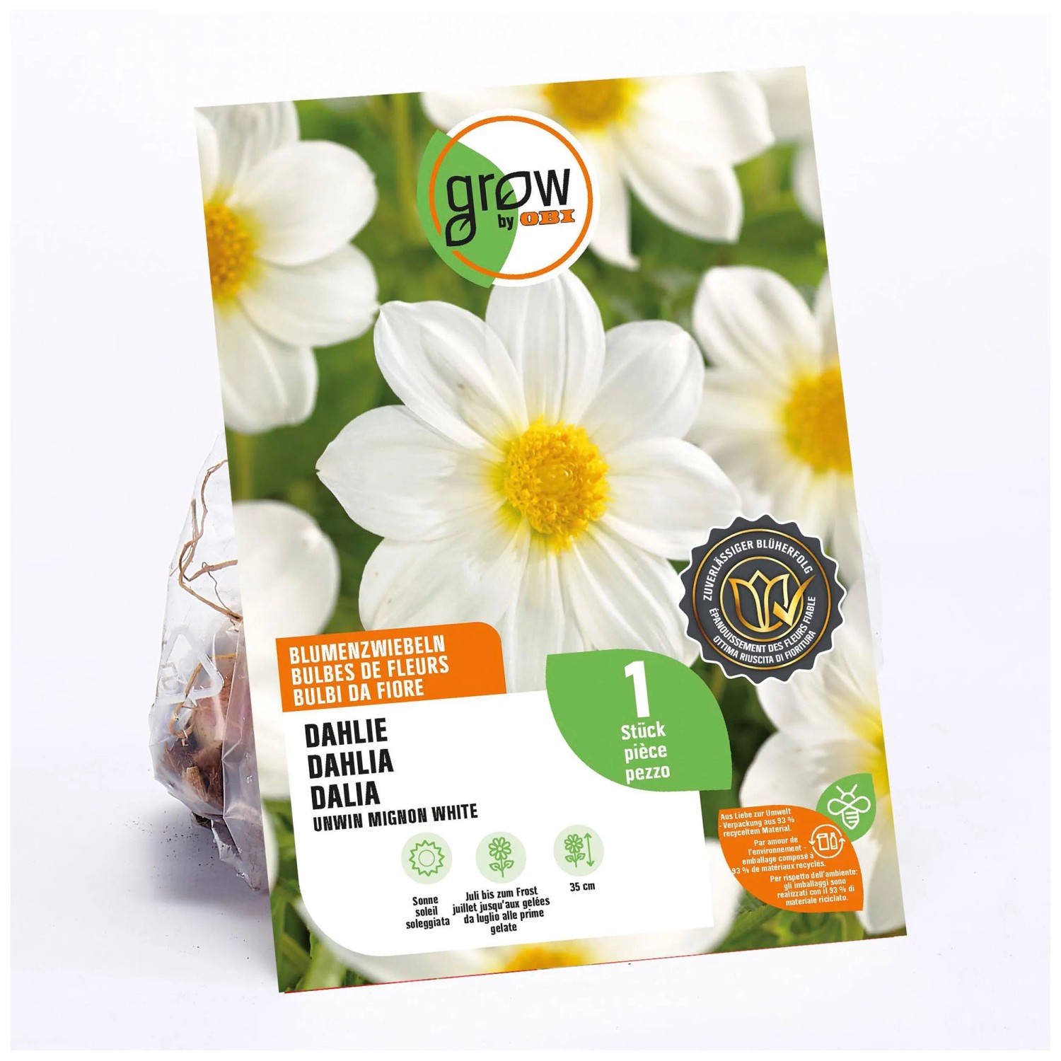 Grow by OBI Dahlia Unwin Mignon White 1 pc