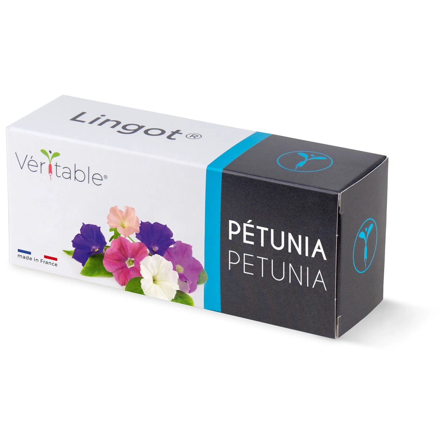 Veritable Lingot Semi di fiori Petunia acquista da OBI