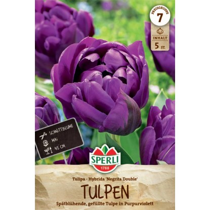 Sperli Bulbo tulipano tardivo doppio Negrita Double