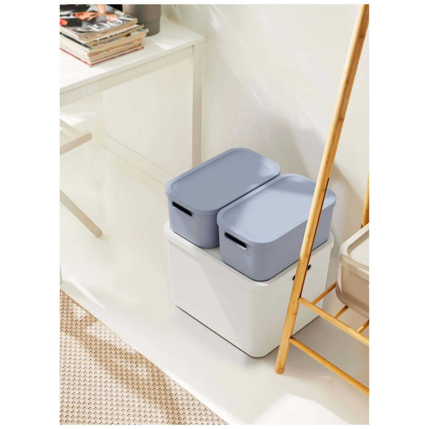 Rotho Multibox Albula Mistletoe Blanc 55 l