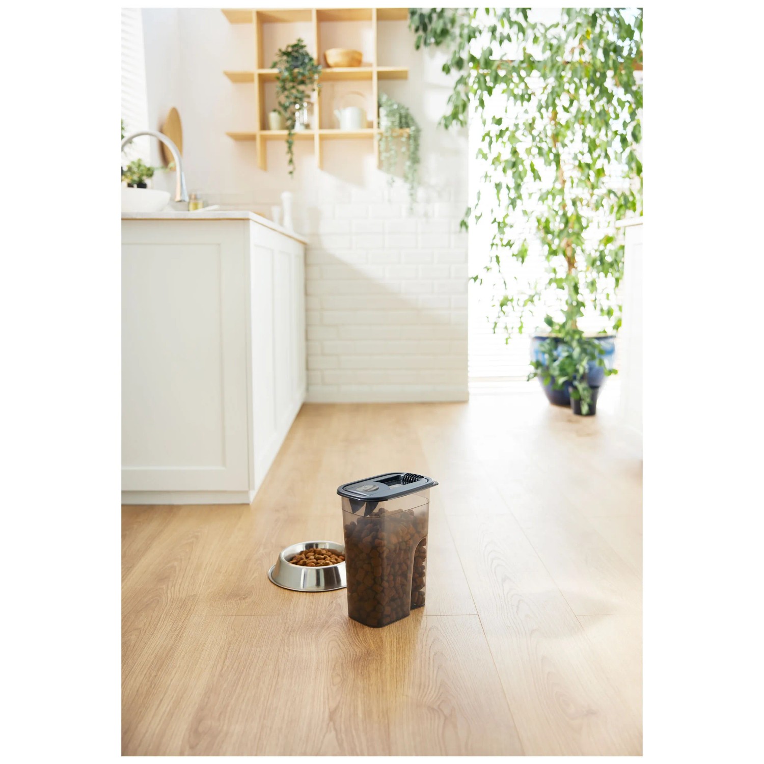 Rotho Box sfuso per animali Flo Nero 4,1 l acquista da OBI