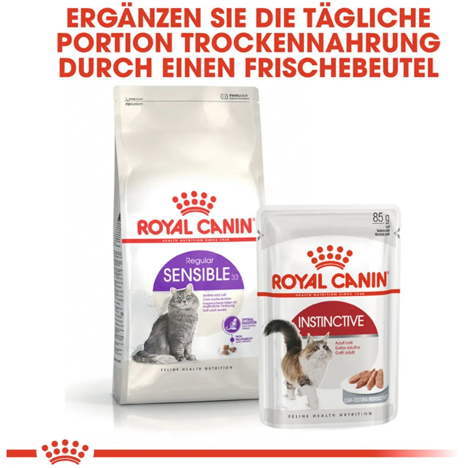 Katzen Trockenfutter Royal Canin