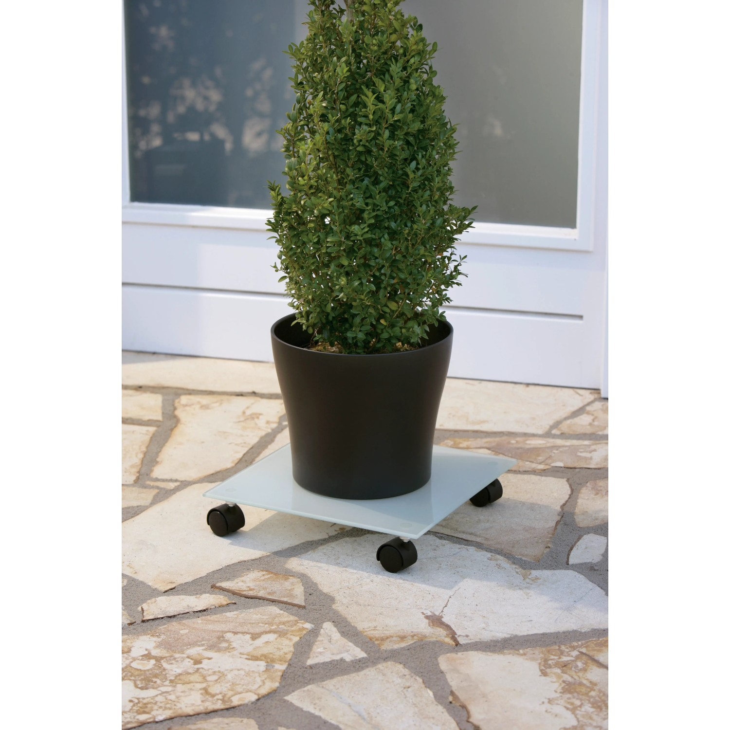 Pflanzenroller Glas Mattweiss eckig 35 cm x 35 cm