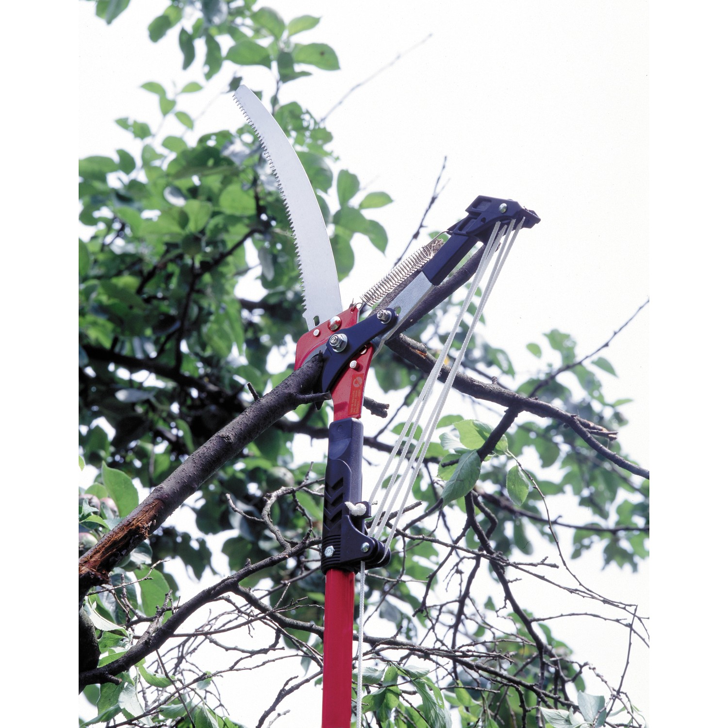 LUX Baumschere teleskopierbar mit Säge 120 cm - 240 cm kaufen bei OBI