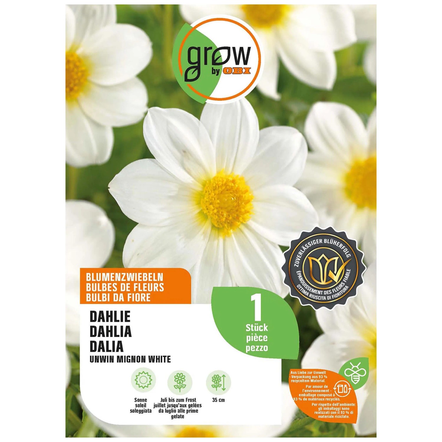 Grow by OBI Dahlia Unwin Mignon White 1 pc