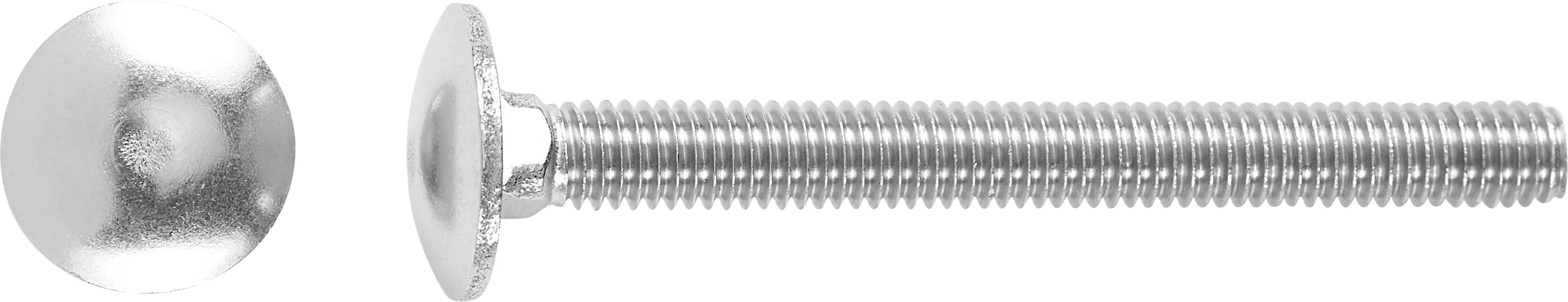 Schlossschraube M8 x 120 mm Edelstahl 1 Stk.