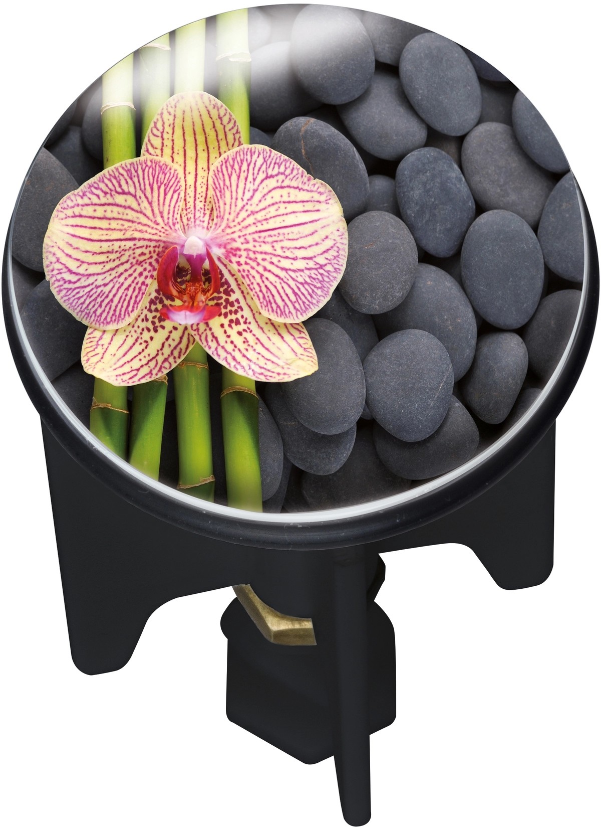 Waschbeckenstöpsel Pluggy Spa Ø 3,9 x 6,5 cm kaufen bei OBI