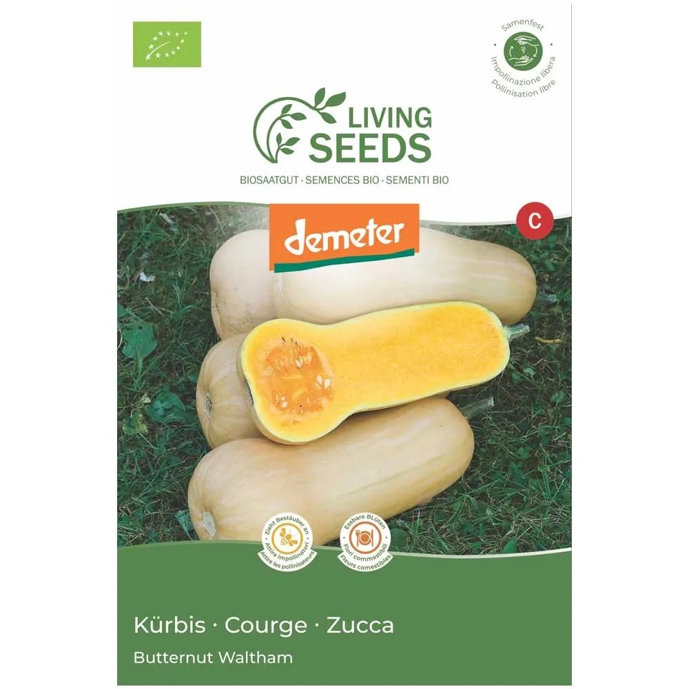 Living Seeds Biosaatgut Kürbis Butternut Waltham kaufen bei OBI