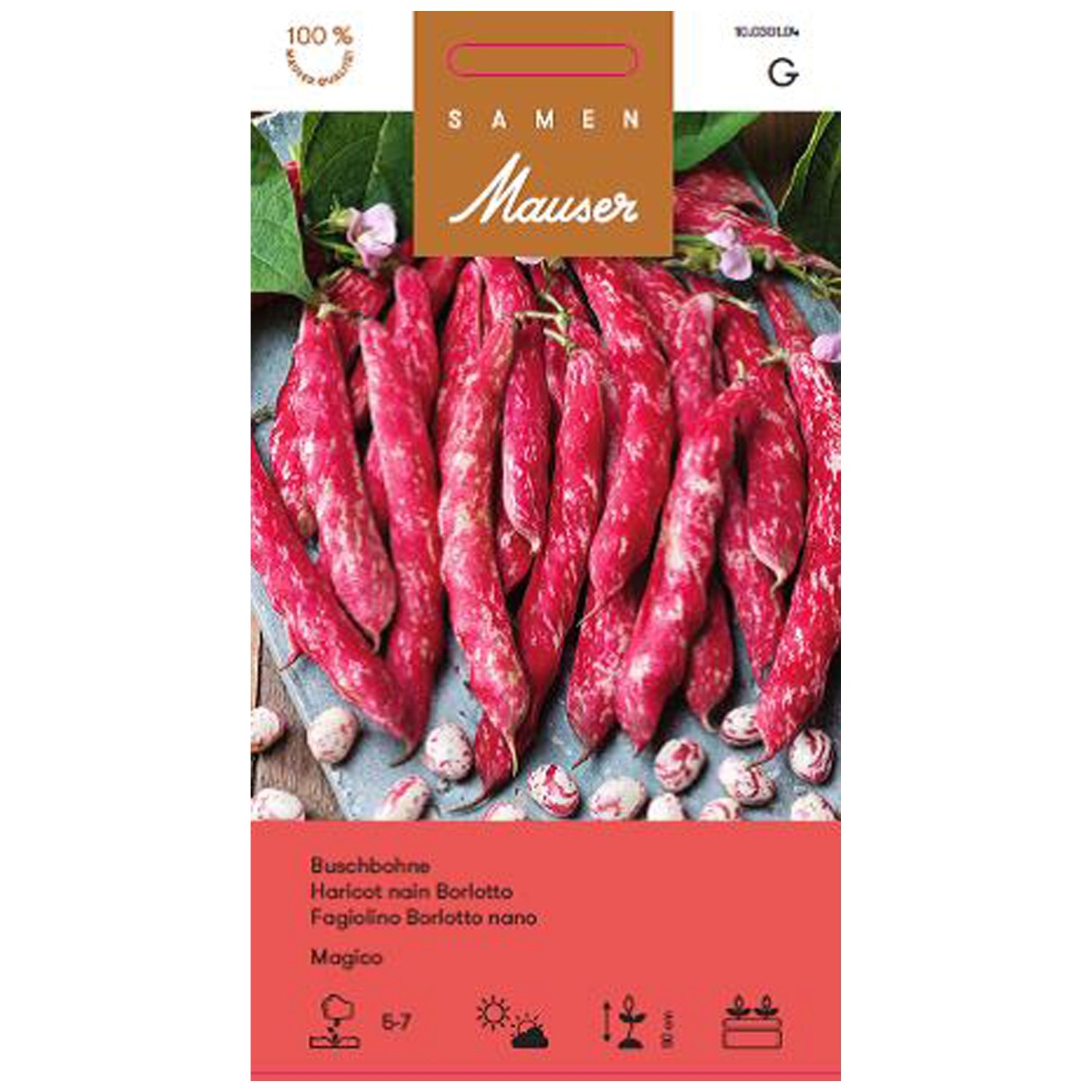 Samen Mauser Buschbohne Magico kaufen bei OBI