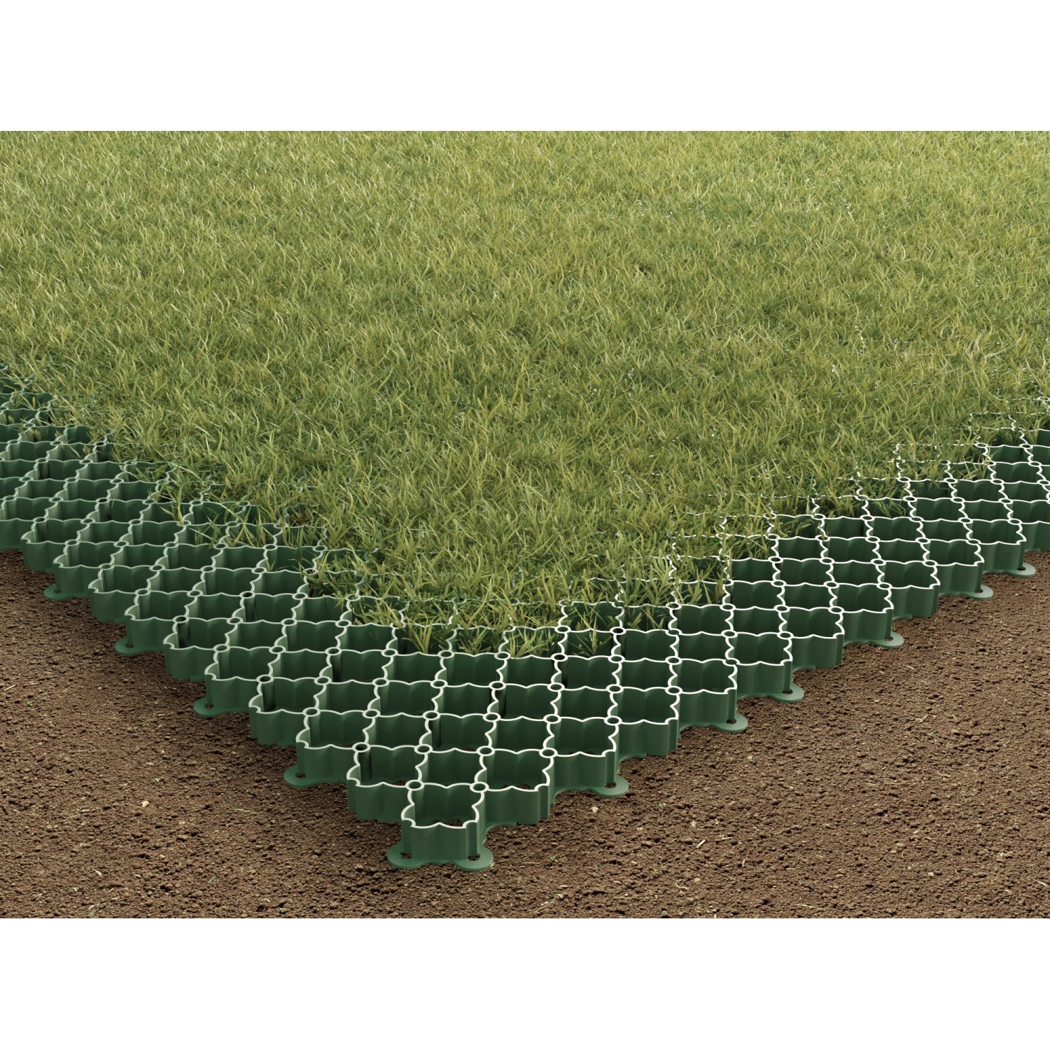 Rasengitter Kunststoff Grün kaufen bei OBI