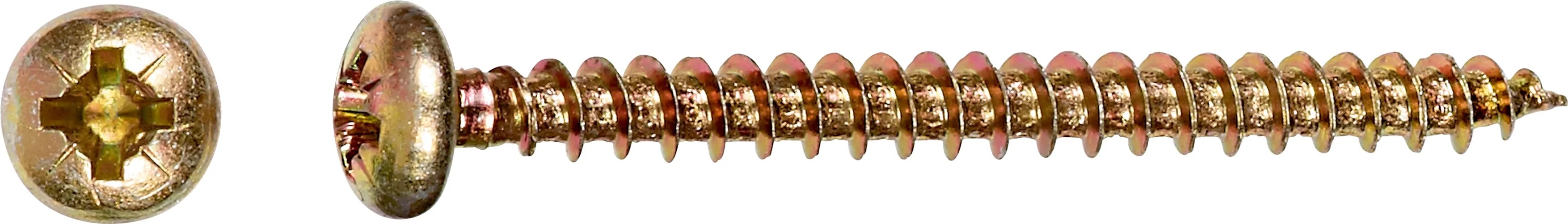 Vis universelle à tête semi-circulaire entraînement PZ Ø 5 x 40 mm 12 pcs
