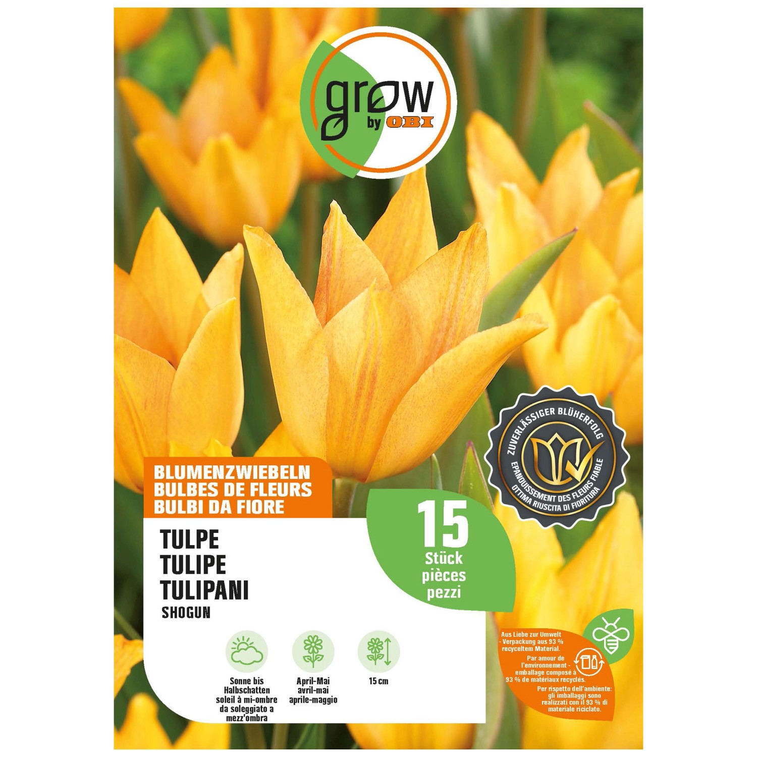 GROW by OBI Tulpe Shogun Orange 15 cm kaufen bei OBI