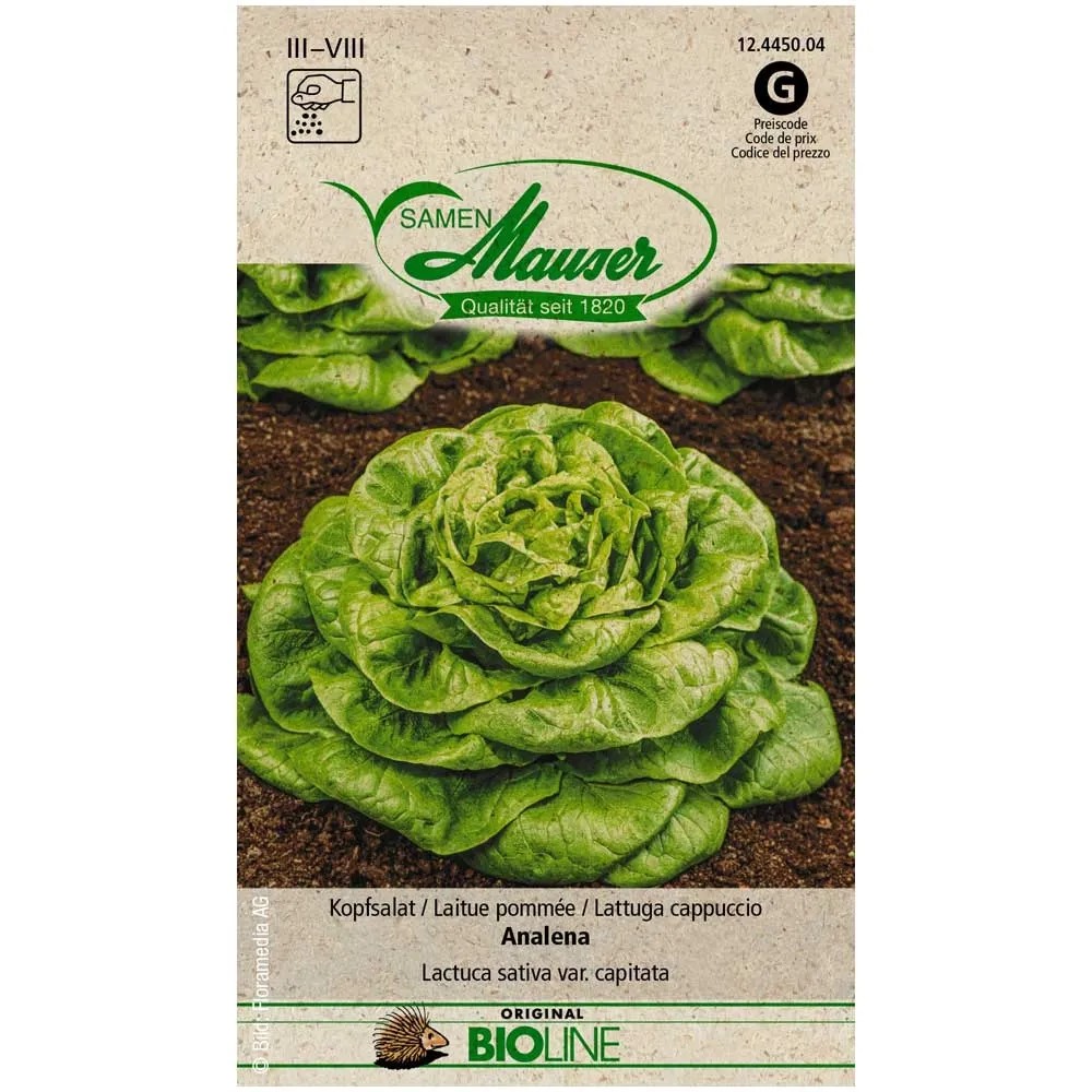 Kopfsalat Analena Bio kaufen bei OBI