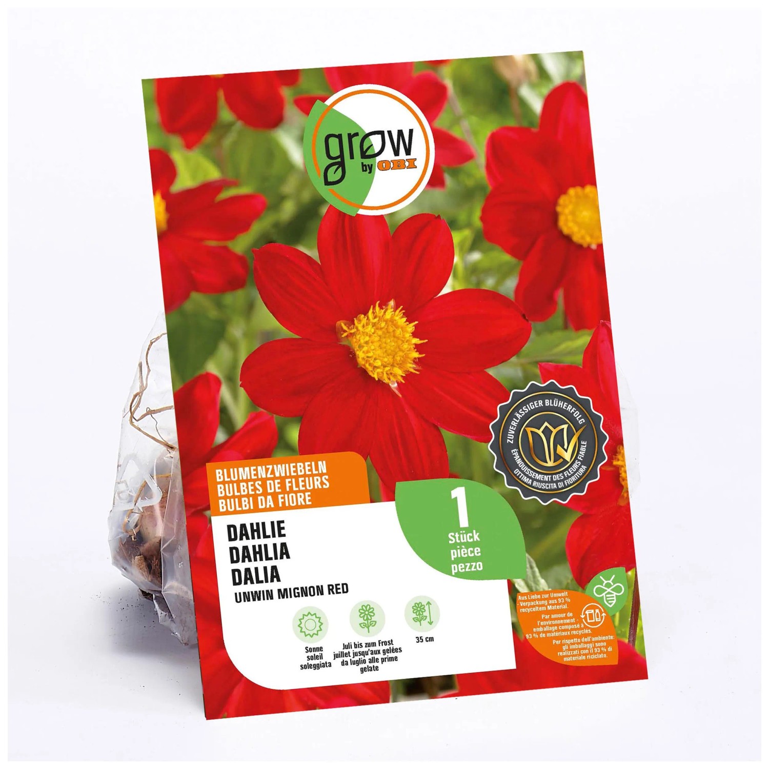 Grow by OBI Dahlia Unwin Mignon Red 1 pc