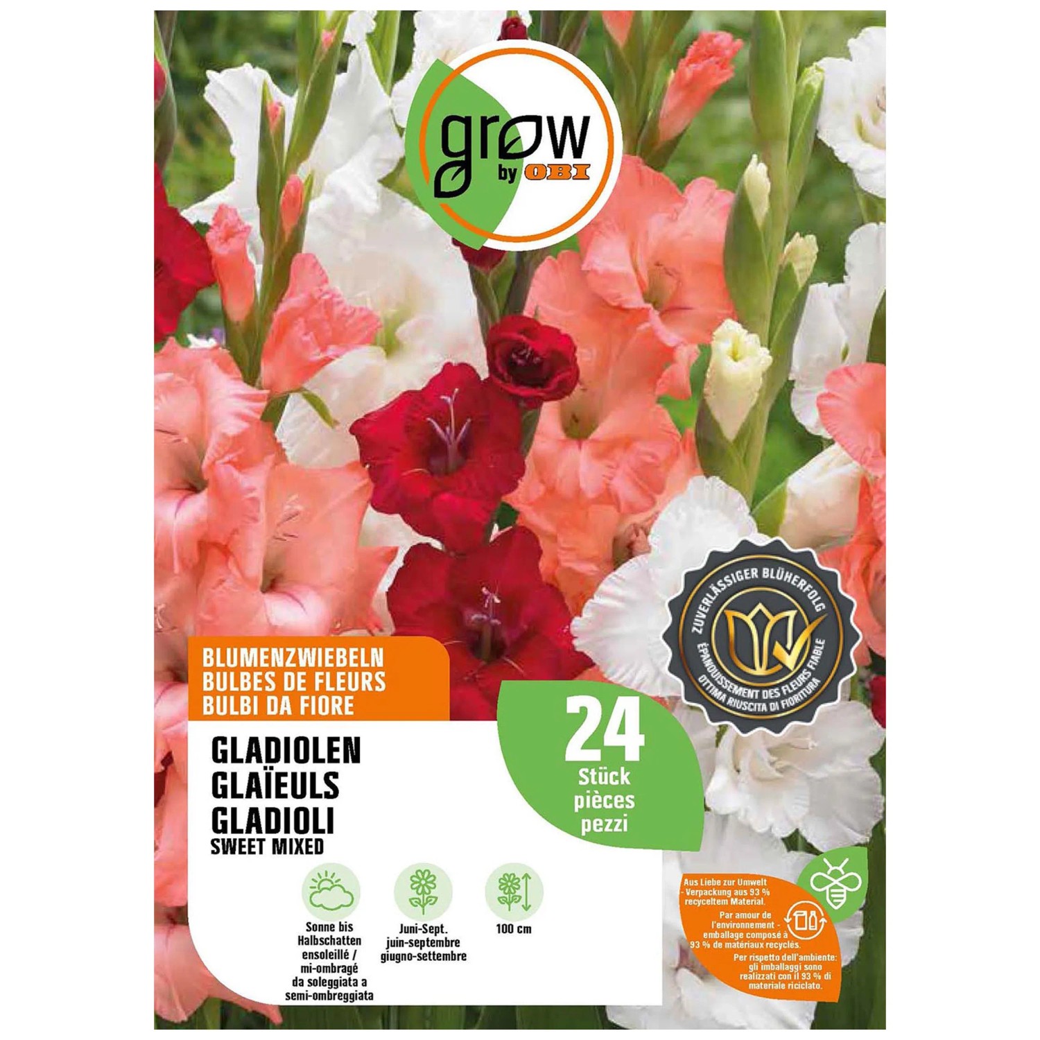 Grow by OBI Gladiolen Sweet Mixed 24 Stk. kaufen bei OBI